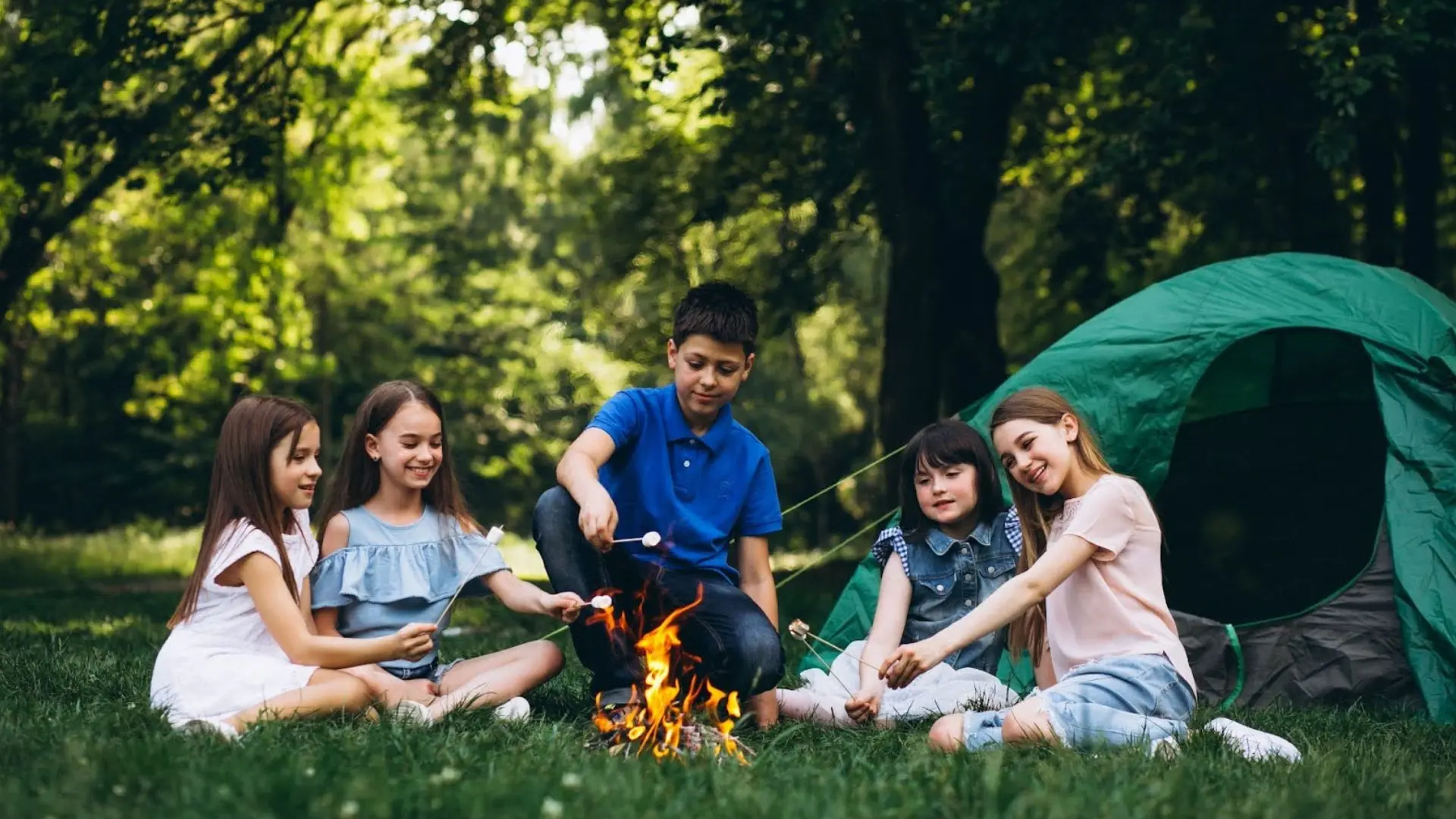 Simak Penjelasan Lengkap Tentang Siklus Calvin Fotosintesis